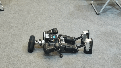 HighTorque Robotics Makes Debut at Canton Fair: Robotic Products Draw ...